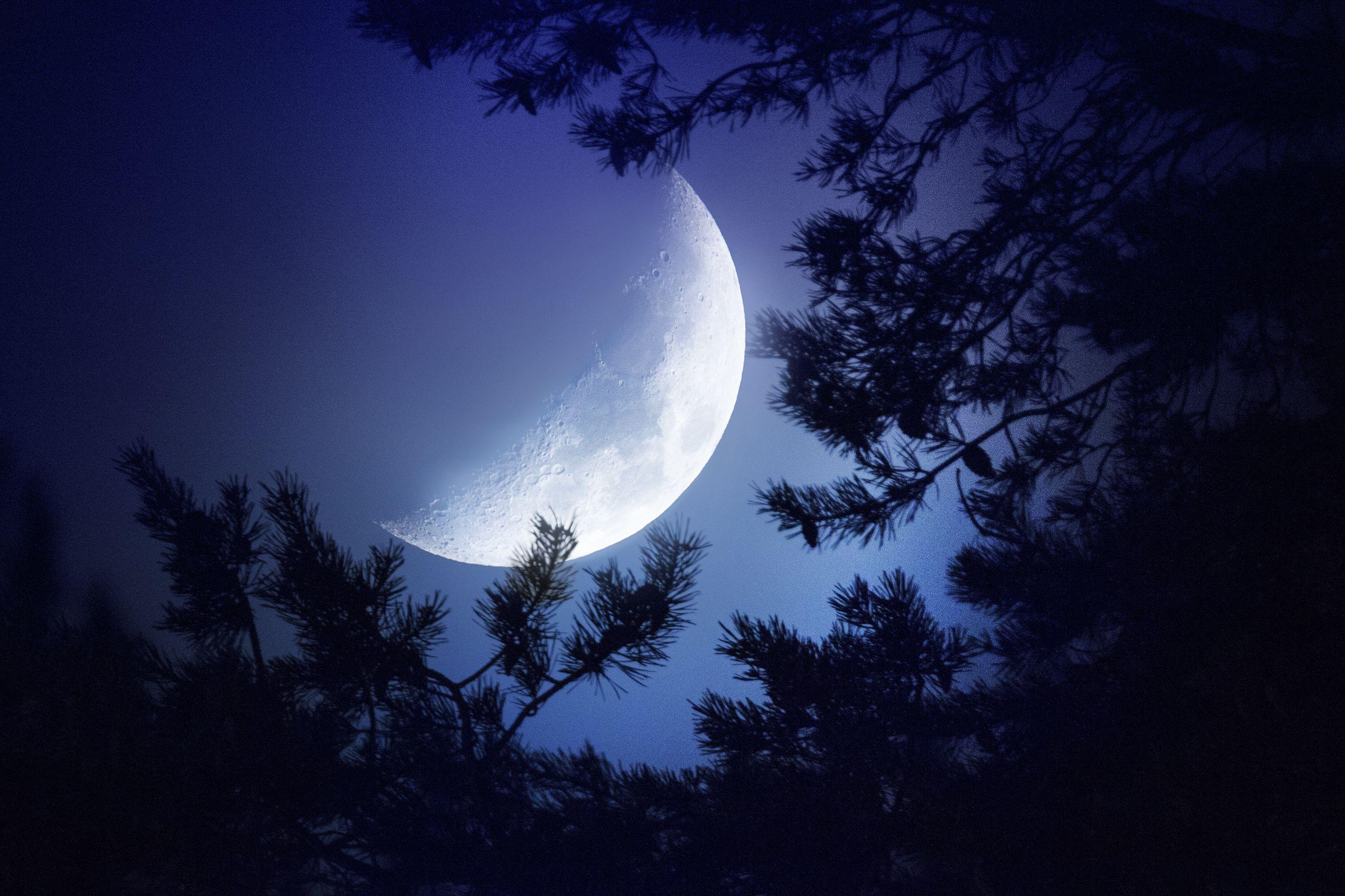 Big Moon Wallpapers - Top Free Big Moon Backgrounds - WallpaperAccess