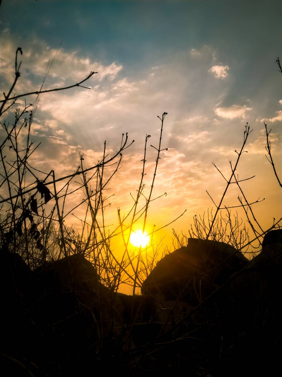 Morning View Wallpapers - Top Free Morning View Backgrounds ...