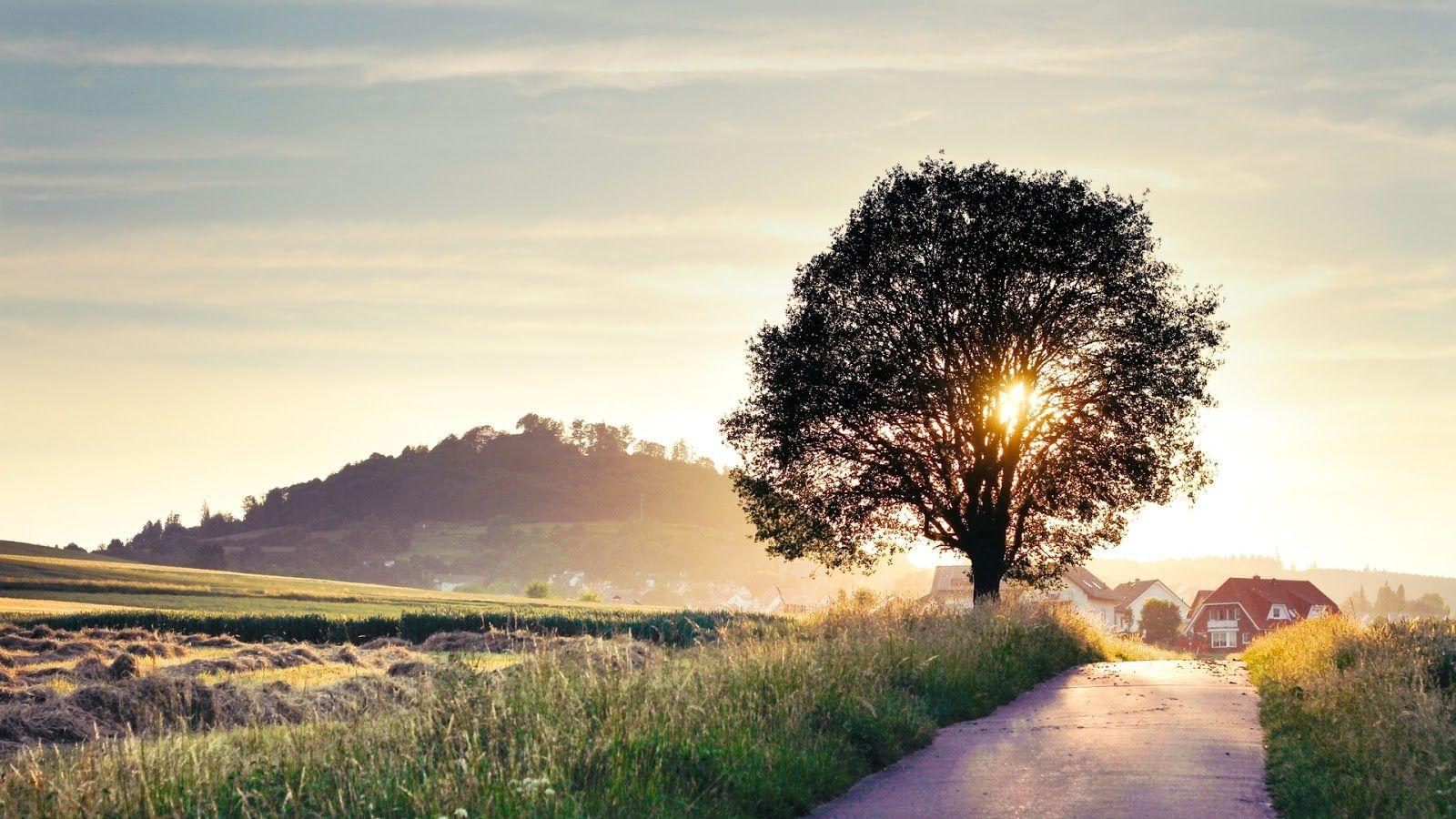 Morning View Wallpapers - Top Free Morning View Backgrounds ...