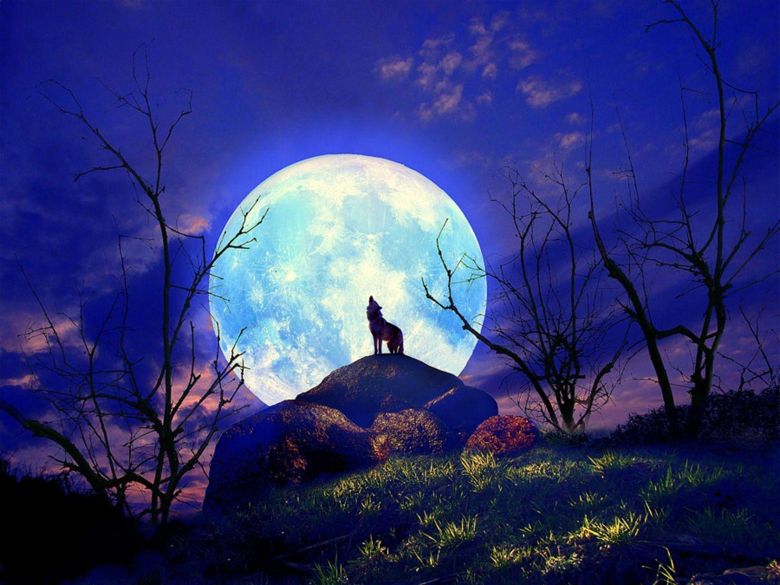 Big Moon Wallpapers - Top Free Big Moon Backgrounds - WallpaperAccess