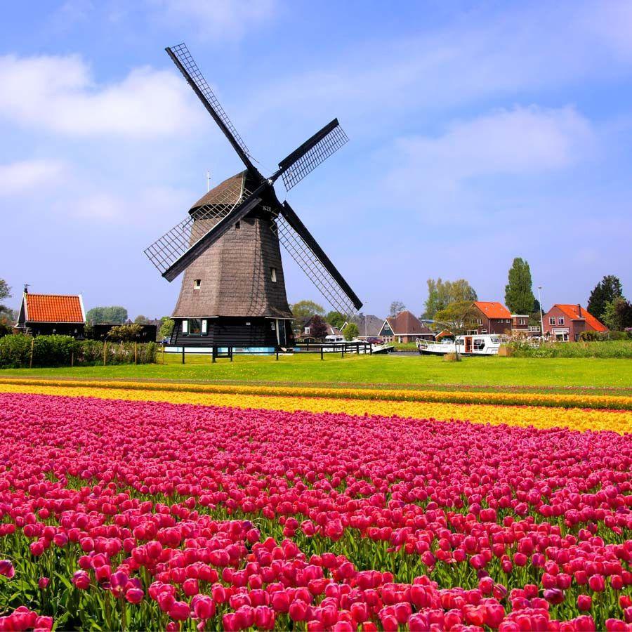 Dutch Windmill Wallpapers - Top Free Dutch Windmill Backgrounds ...