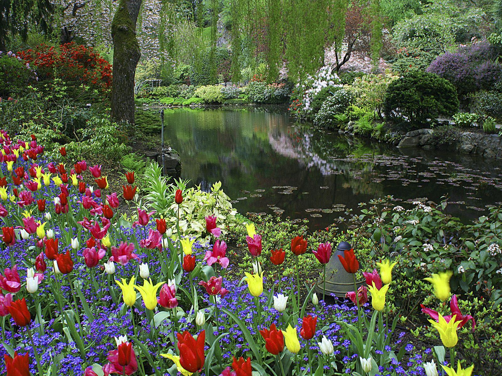 Butchart Gardens Wallpapers - Top Free Butchart Gardens Backgrounds ...