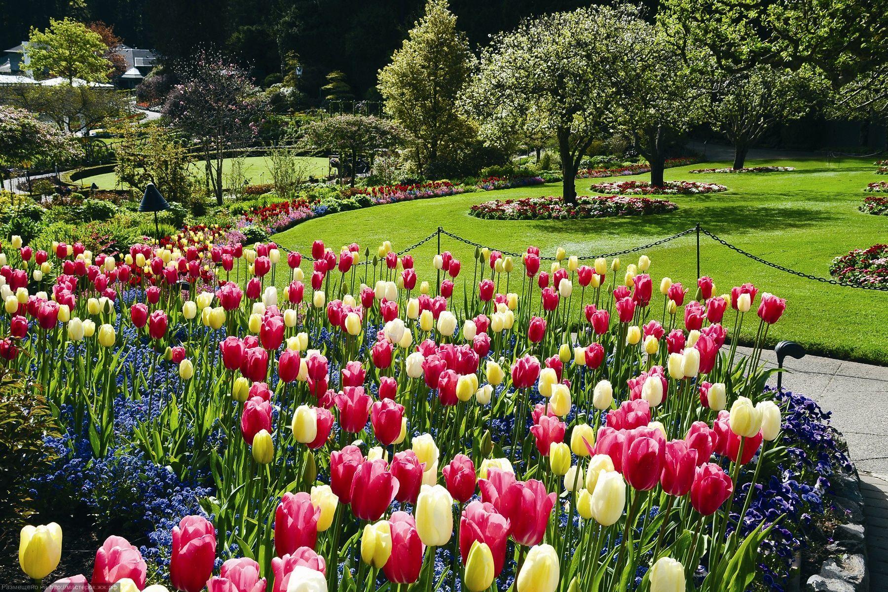 Butchart Gardens Wallpapers - Top Free Butchart Gardens Backgrounds ...