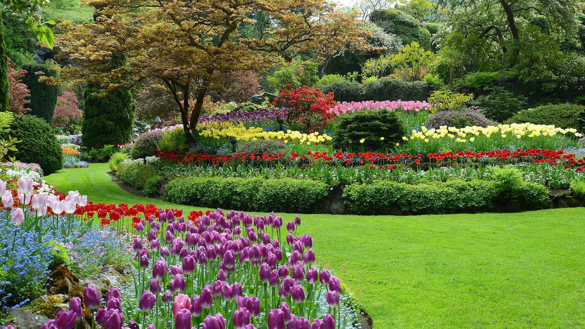 Butchart Gardens Wallpapers - Top Free Butchart Gardens Backgrounds ...