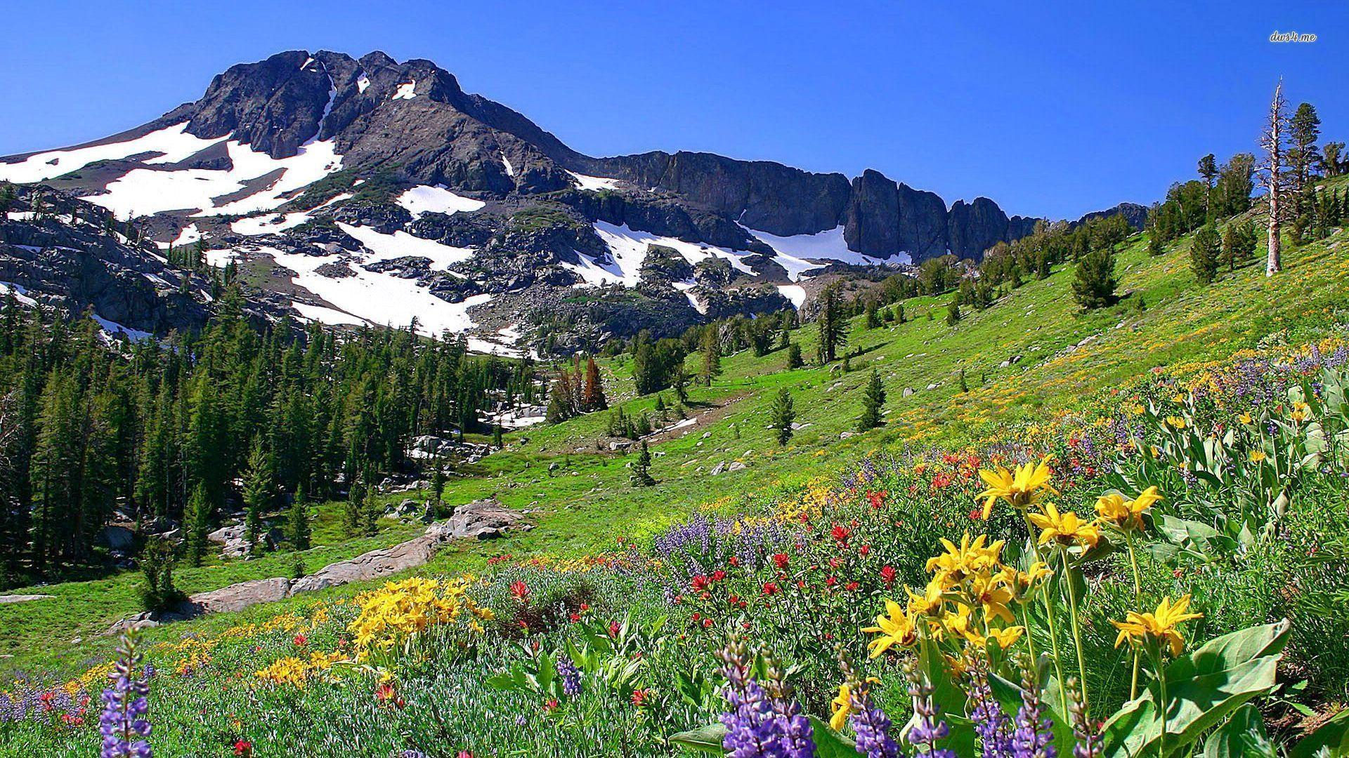 Mountain Spring Nature Wallpapers - Top Free Mountain Spring Nature ...