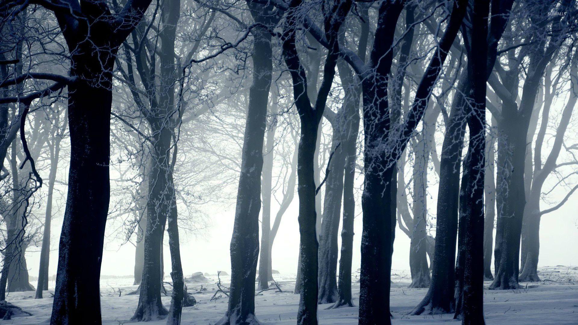 HD Dark Winter Wallpapers - Top Free HD Dark Winter Backgrounds ...