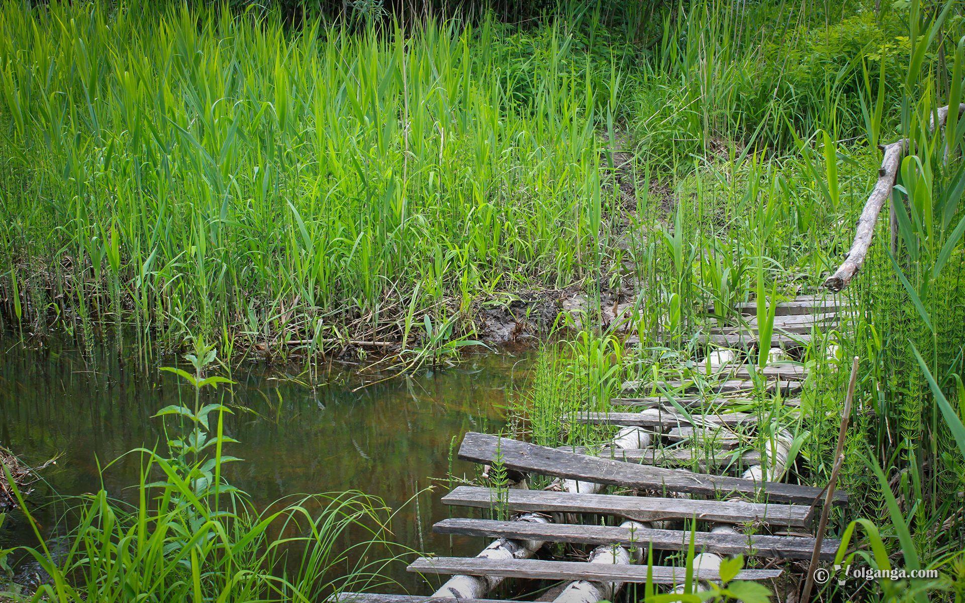 Russian Nature Wallpapers - Top Free Russian Nature Backgrounds ...