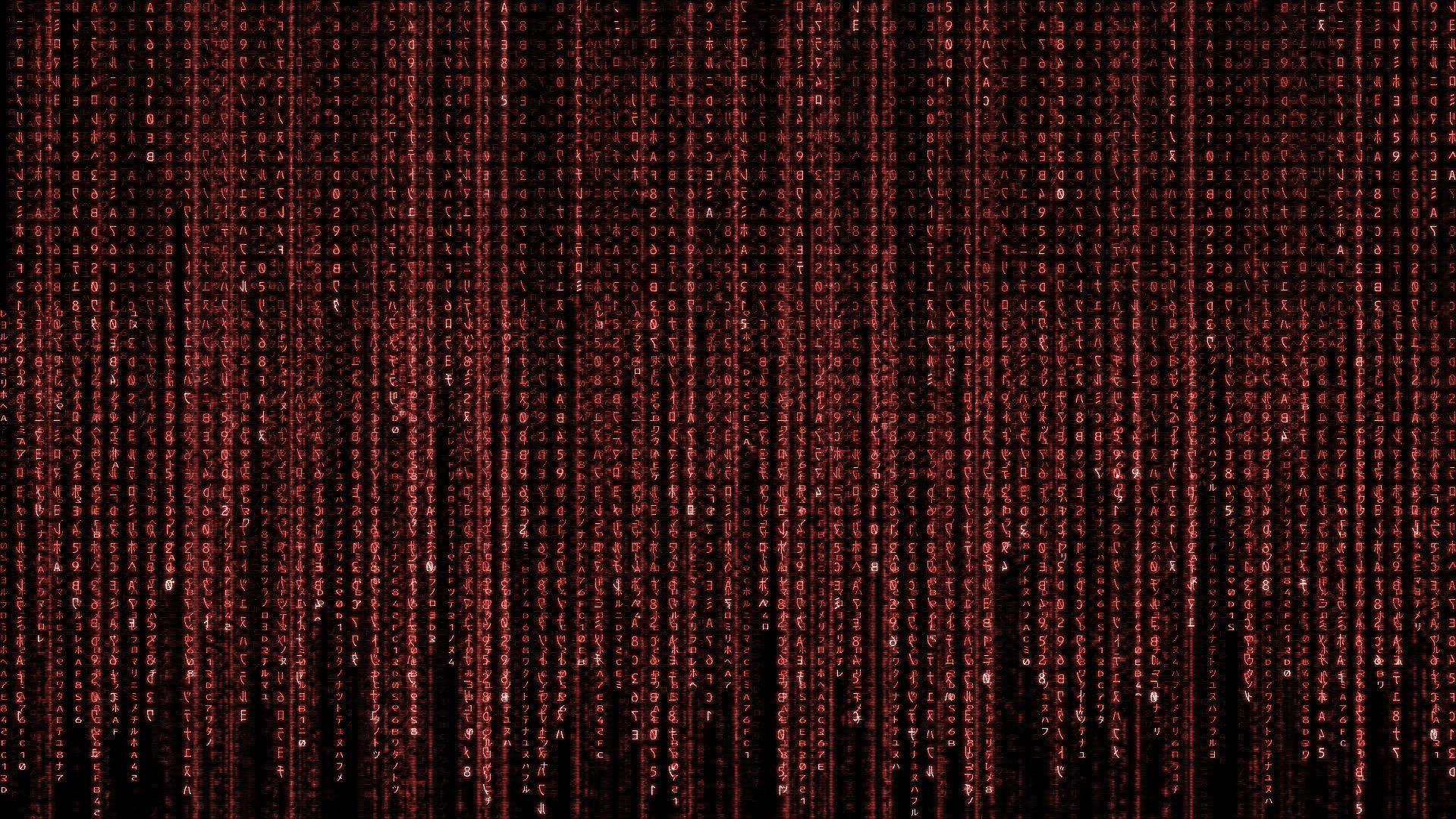 Dark Matrix Wallpapers - Top Free Dark Matrix Backgrounds - WallpaperAccess