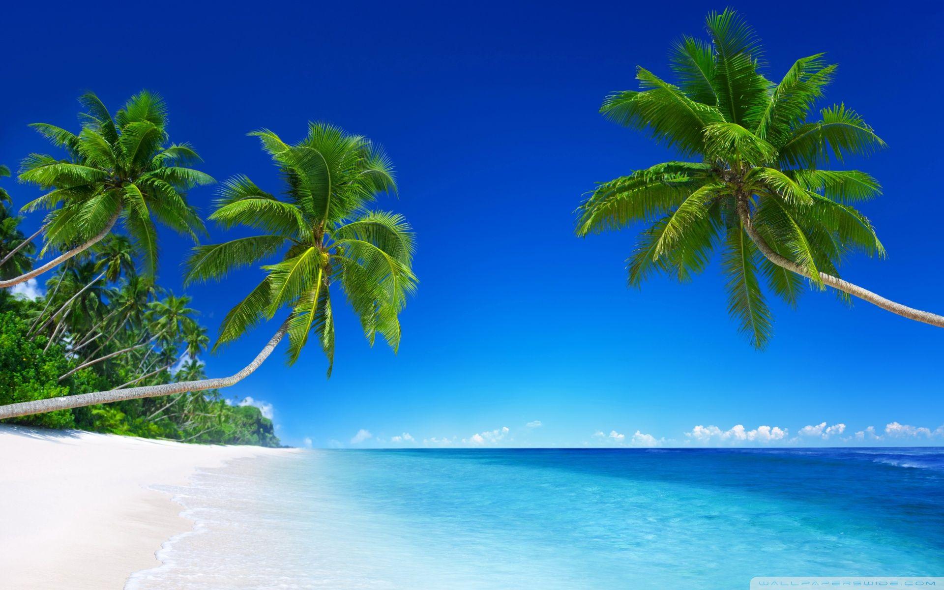 Beach 1920 X 1200 Wallpapers - Top Free Beach 1920 X 1200 Backgrounds ...