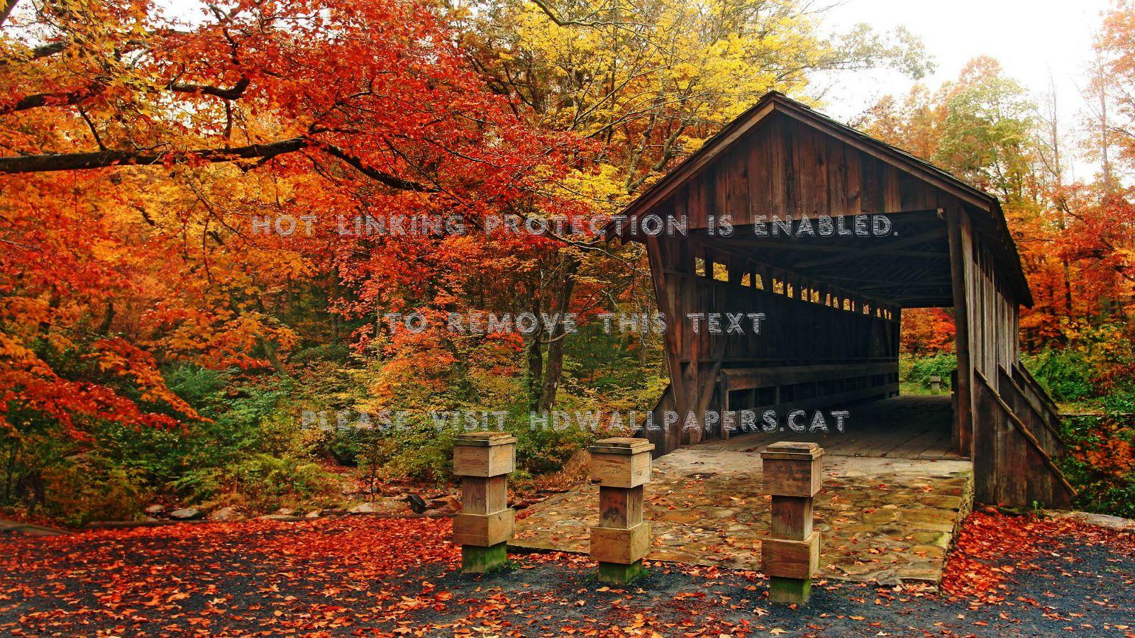 Covered Bridges Wallpapers - Top Free Covered Bridges Backgrounds ...