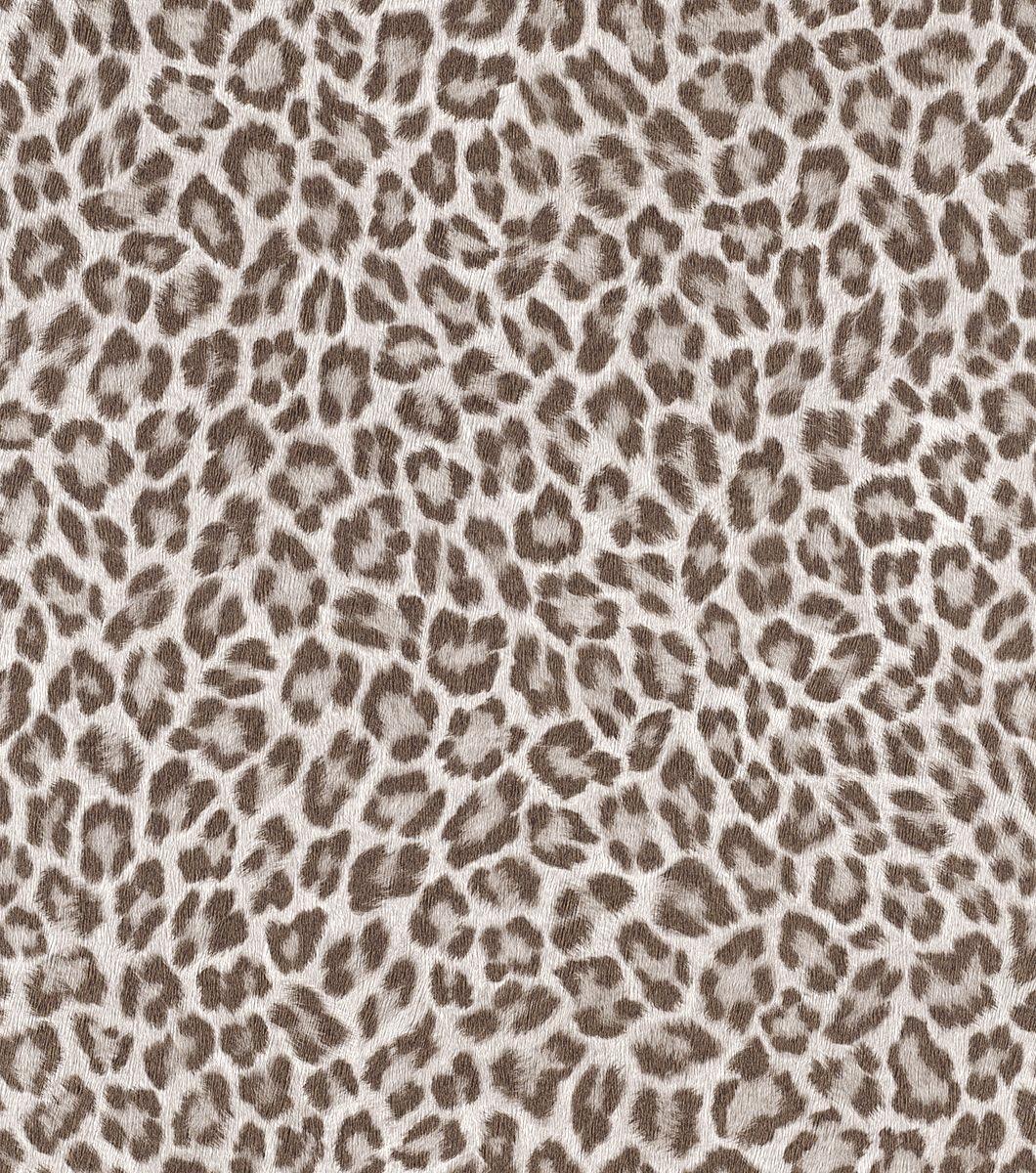 Leopard Skin Wallpapers - Top Free Leopard Skin Backgrounds ...