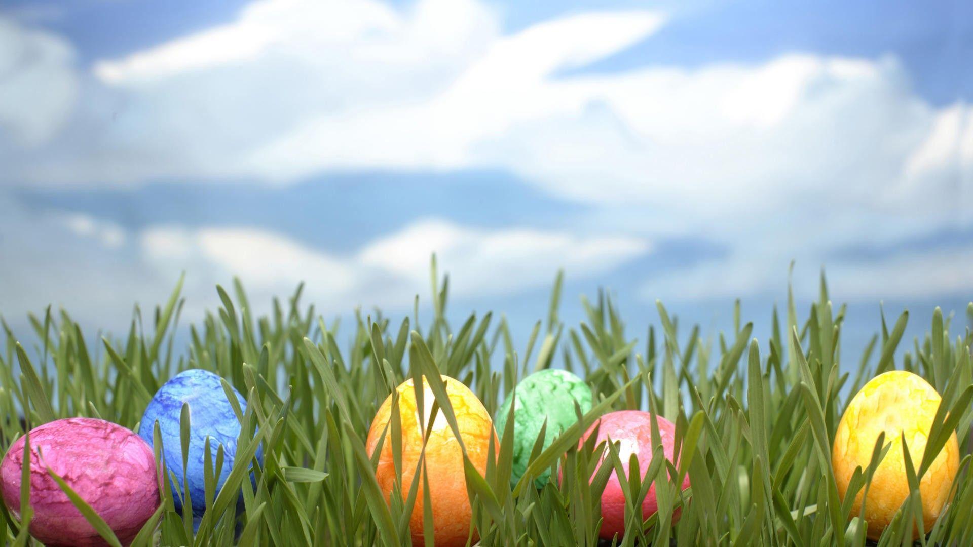 Cute Easter Spring Wallpapers - Top Free Cute Easter Spring Backgrounds ...