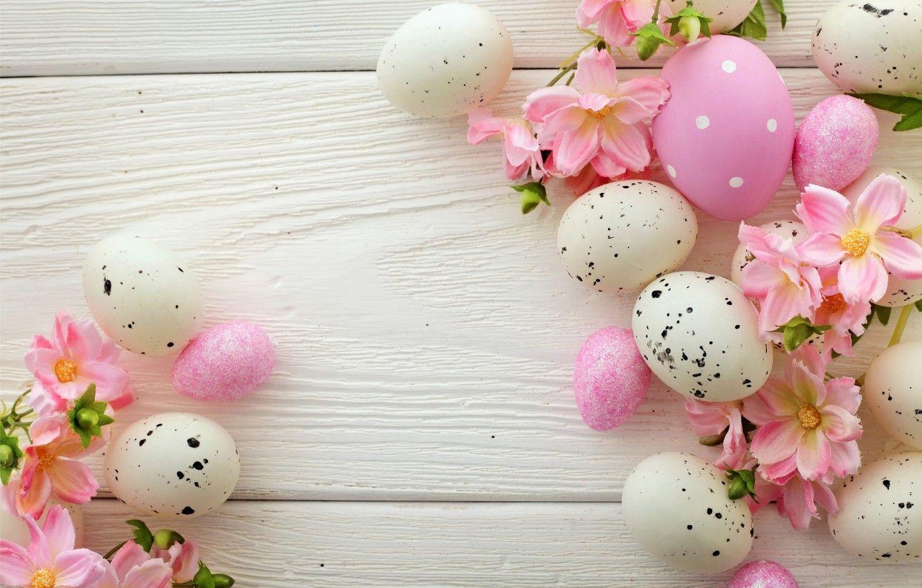 Spring Easter Wallpapers - Top Free Spring Easter Backgrounds ...