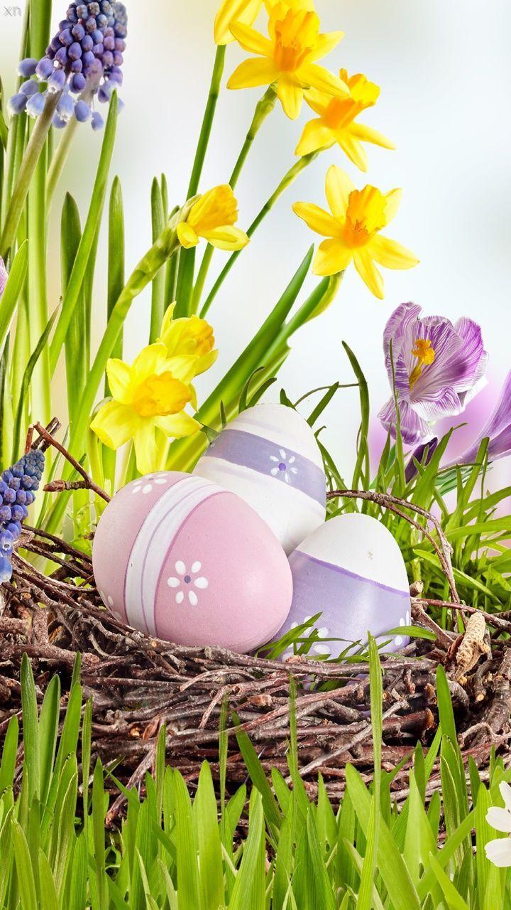 Spring Easter Wallpapers - Top Free Spring Easter Backgrounds ...