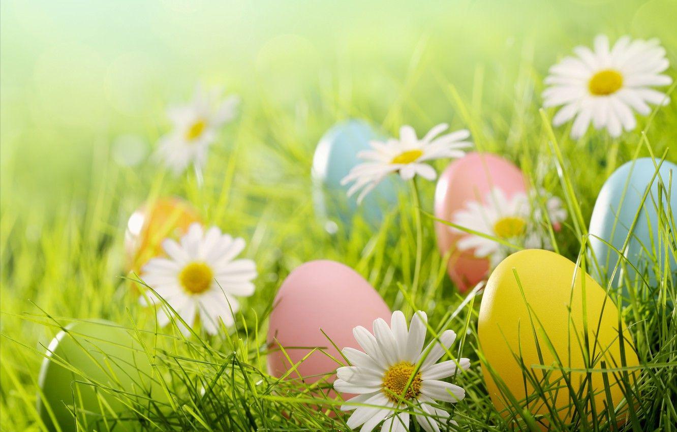 Spring Easter Wallpapers - Top Free Spring Easter Backgrounds ...