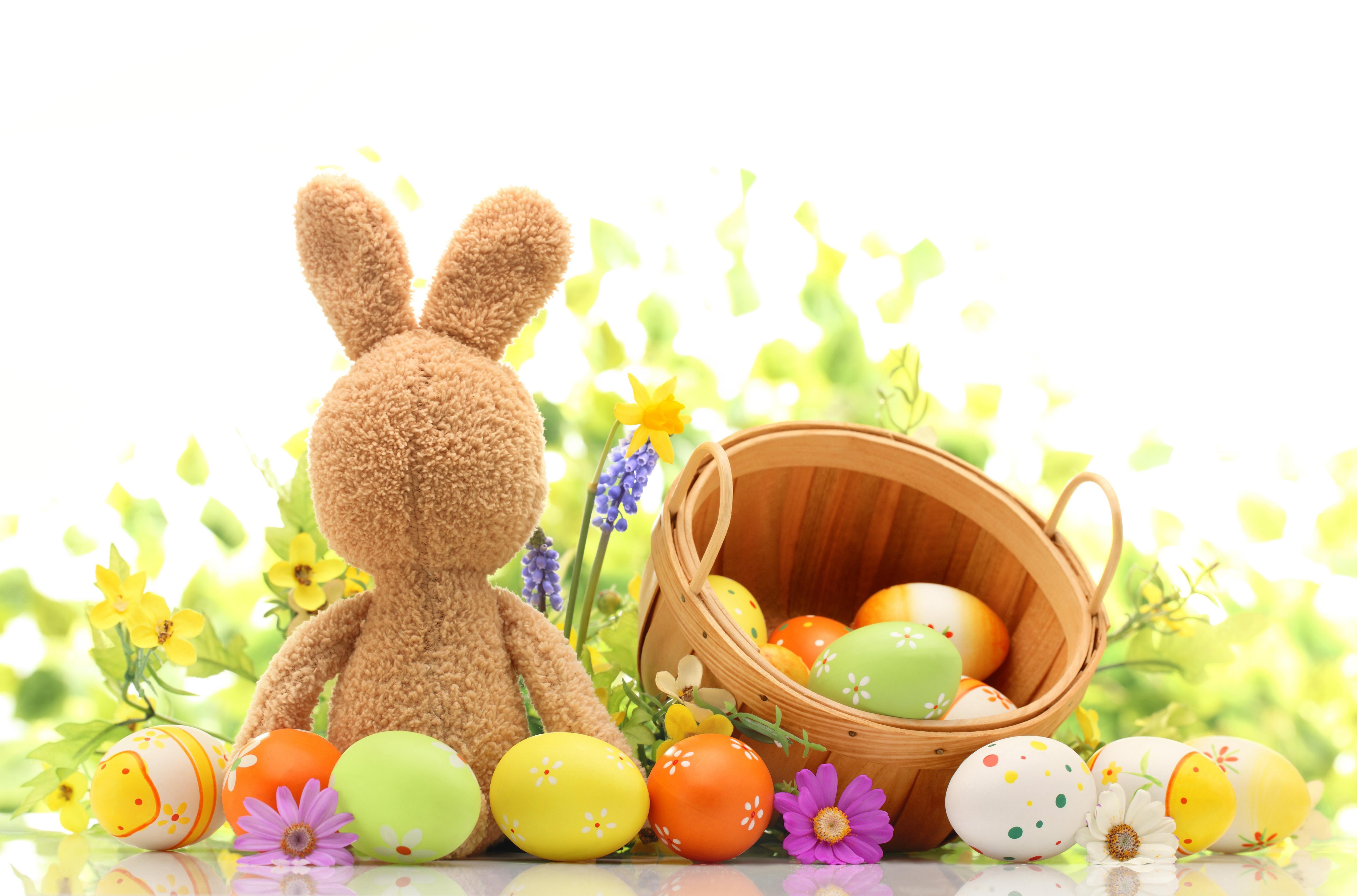 Spring Easter Wallpapers - Top Free Spring Easter Backgrounds ...