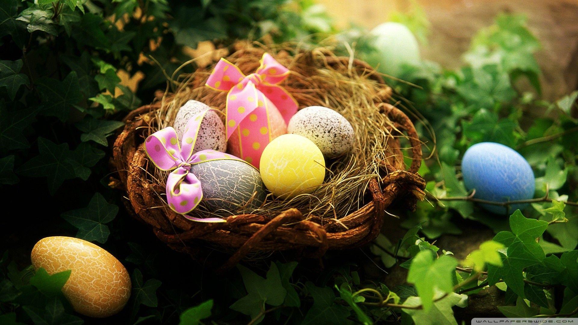 Spring Easter Wallpapers - Top Free Spring Easter Backgrounds ...