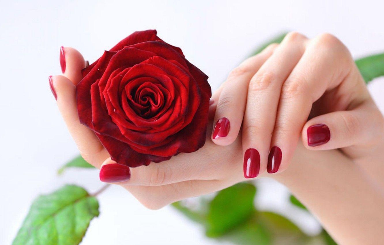 Beautiful Hands Wallpapers - Top Free Beautiful Hands Backgrounds ...