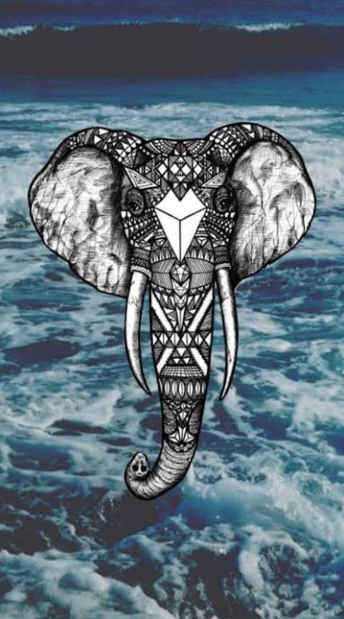 Elephant Phone Wallpapers - Top Free Elephant Phone Backgrounds ...