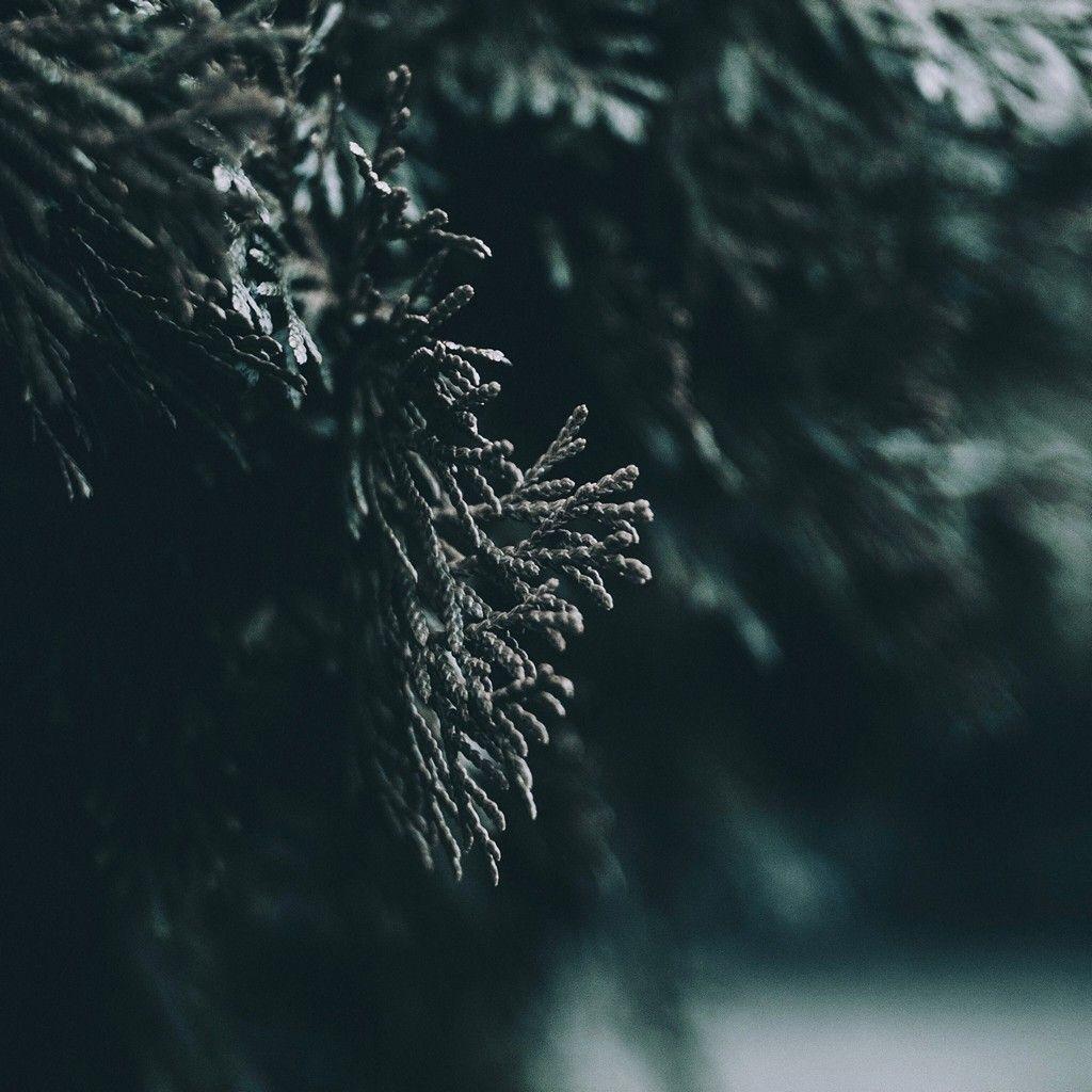 Black Blur Wallpapers - Top Free Black Blur Backgrounds - WallpaperAccess