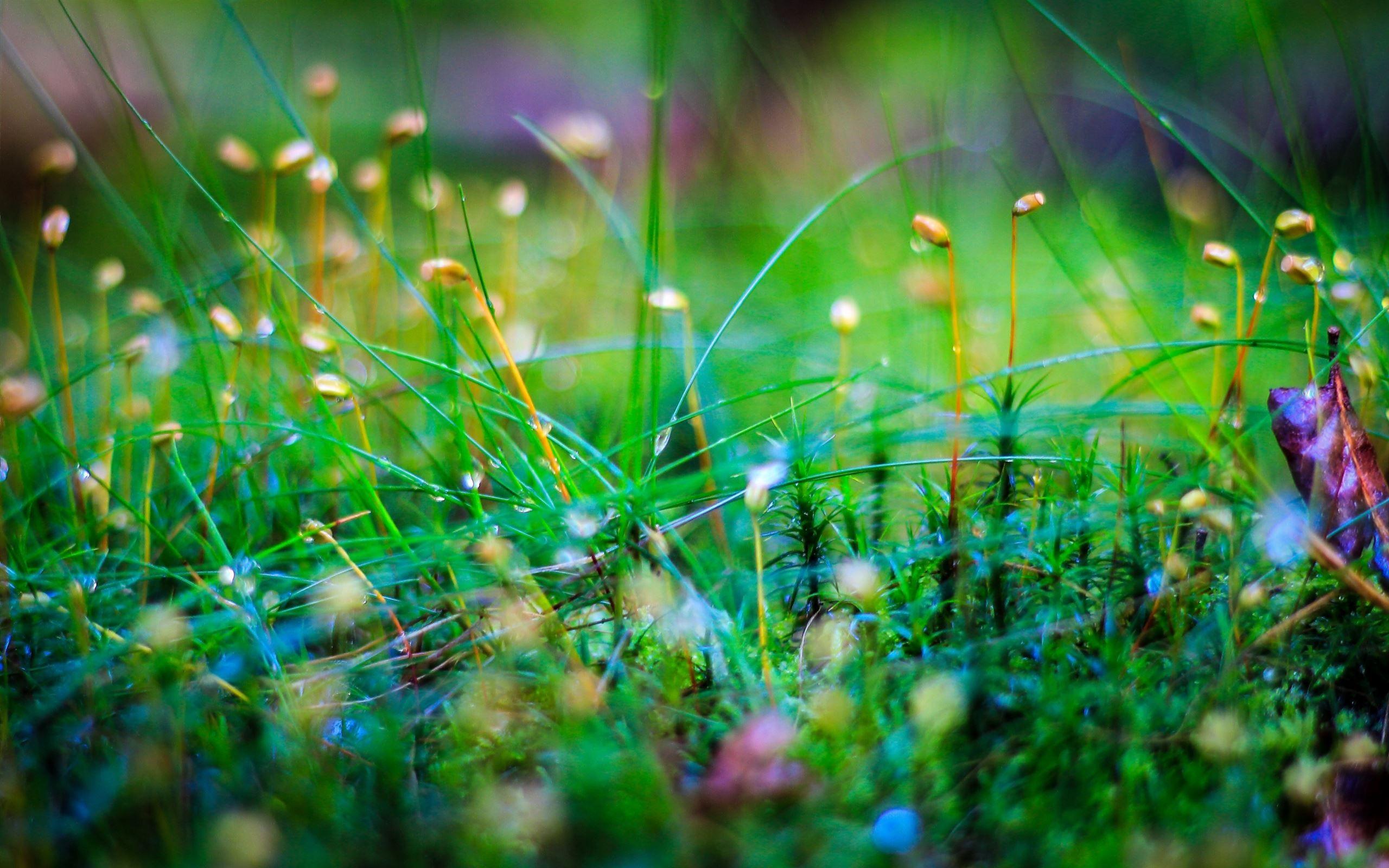 After The Rain Wallpapers - Top Free After The Rain Backgrounds ...