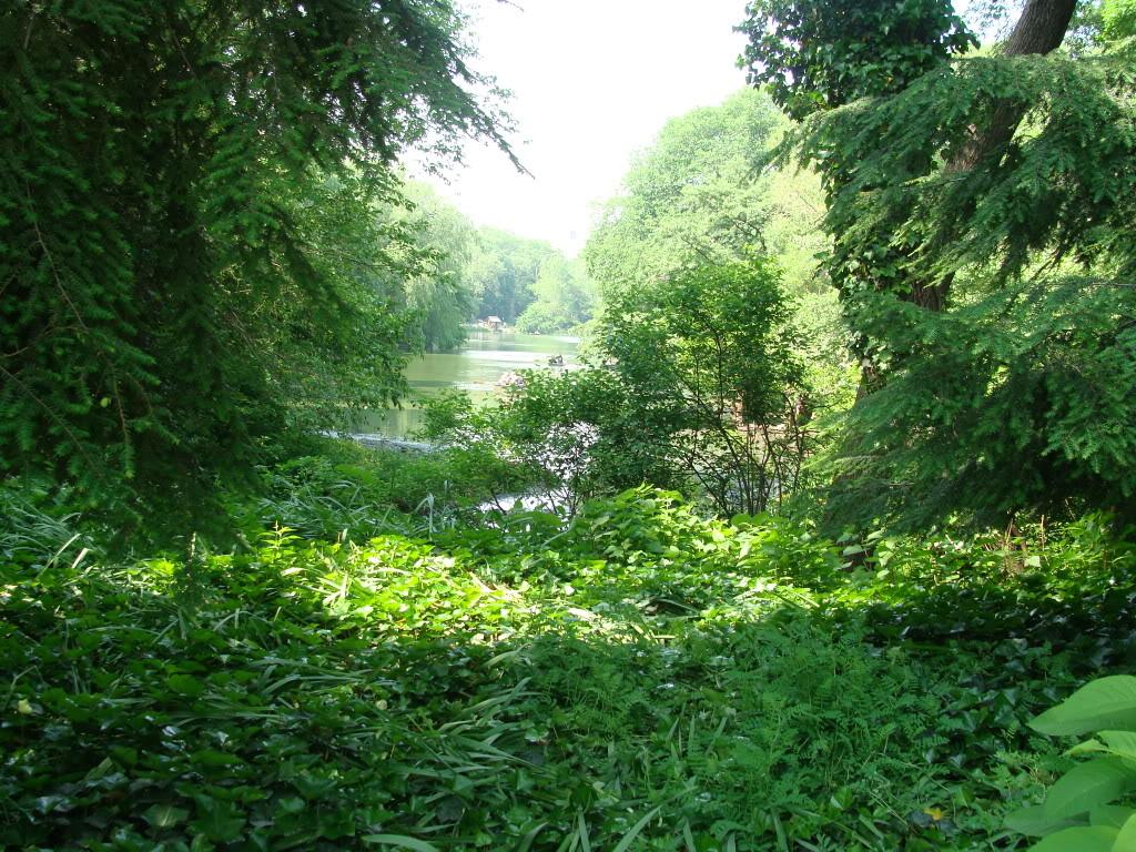 Garden of Eden Wallpapers - Top Free Garden of Eden Backgrounds ...