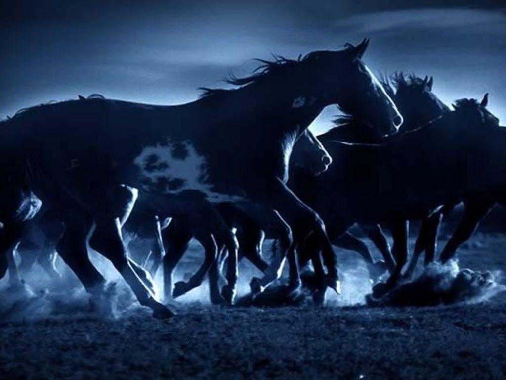 Evil Horse Wallpapers - Top Free Evil Horse Backgrounds - WallpaperAccess