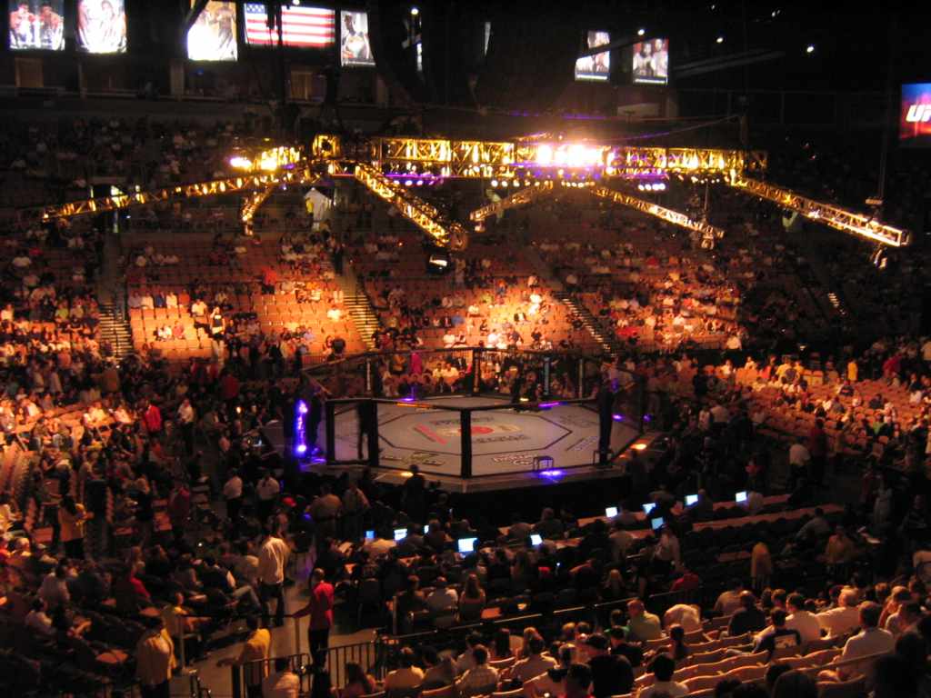 UFC Cage Wallpapers - Top Free UFC Cage Backgrounds - WallpaperAccess