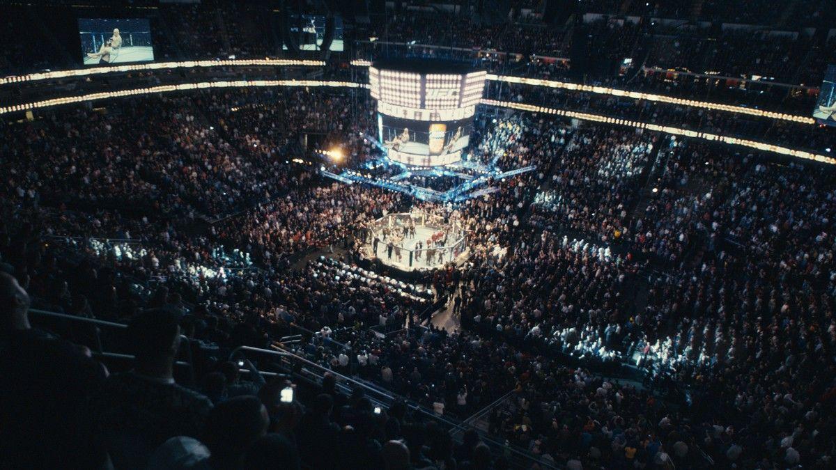 UFC Cage Wallpapers - Top Free UFC Cage Backgrounds - WallpaperAccess