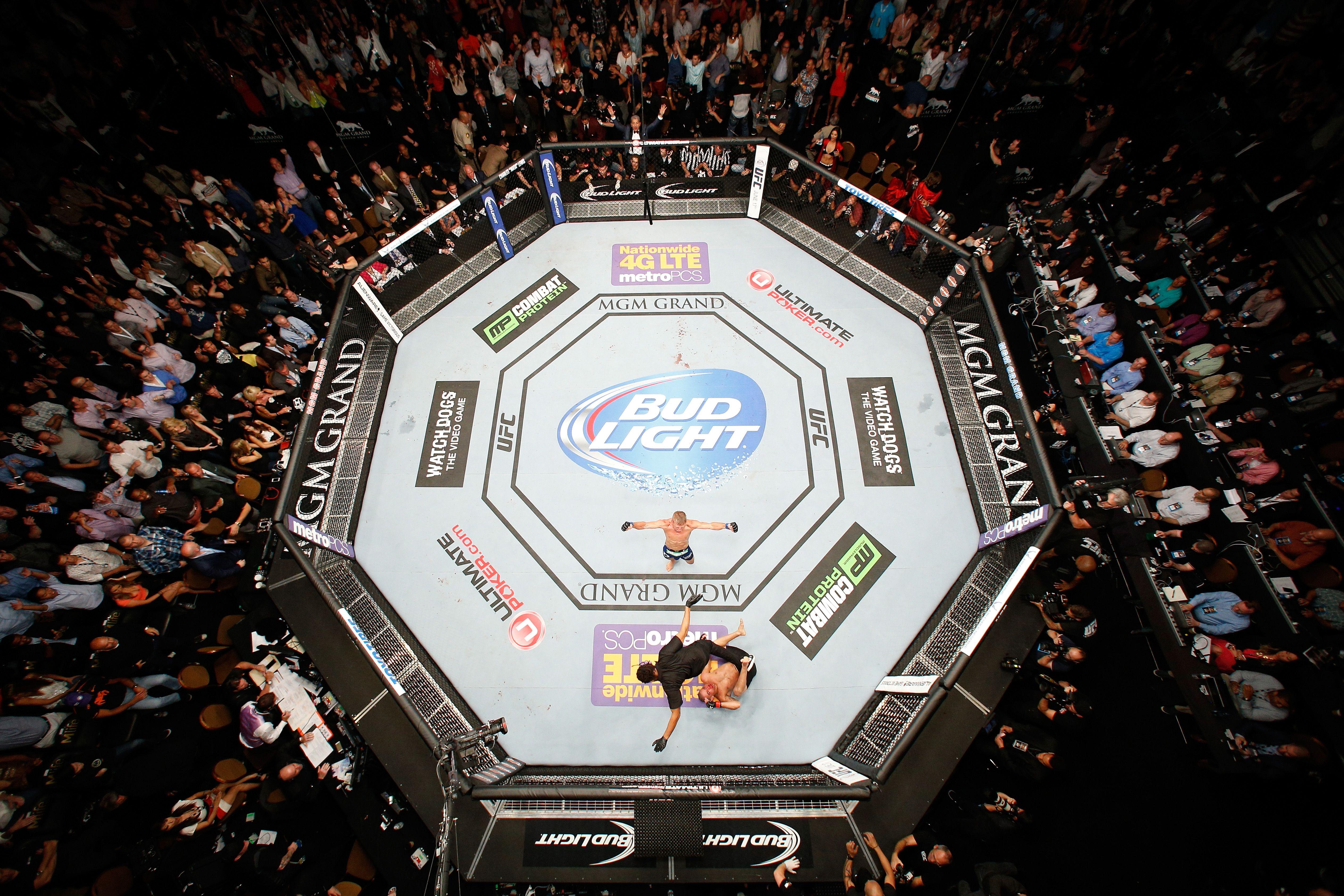 UFC Cage Wallpapers - Top Free UFC Cage Backgrounds - WallpaperAccess