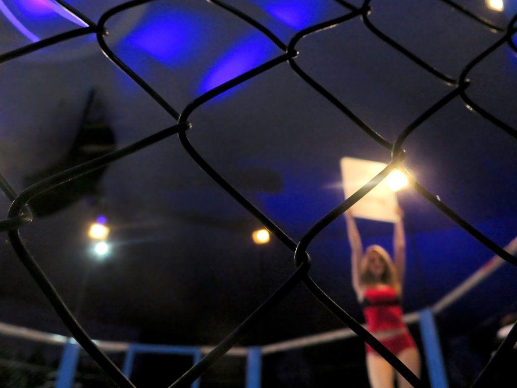 UFC Cage Wallpapers - Top Free UFC Cage Backgrounds - WallpaperAccess