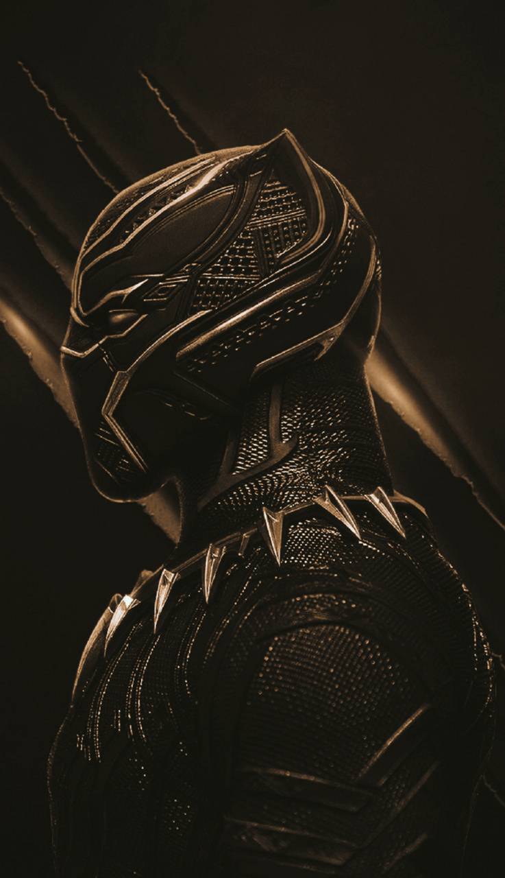Killmonger Suit Wallpapers - Top Free Killmonger Suit Backgrounds ...