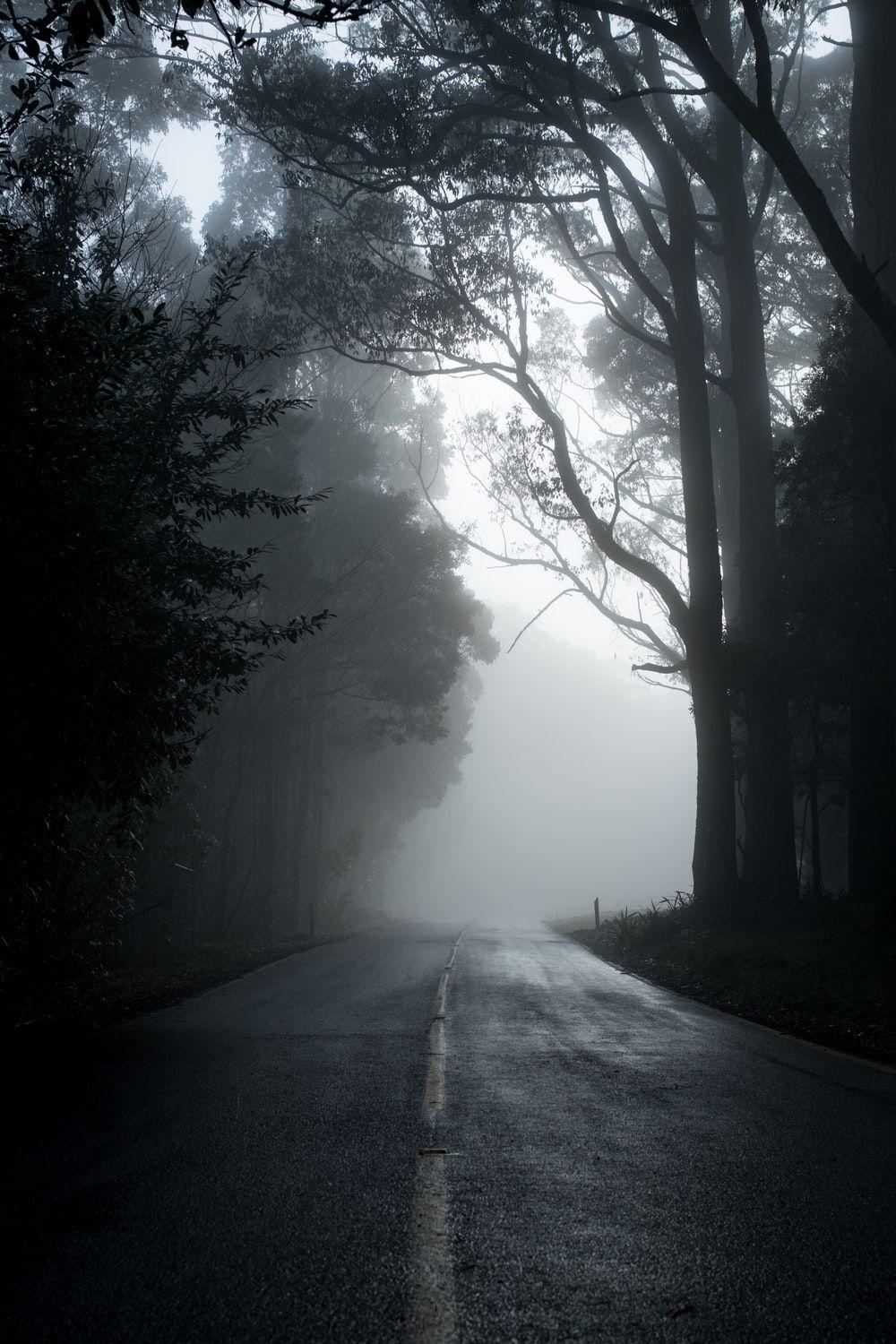 Dark Forest Road Wallpapers - Top Free Dark Forest Road Backgrounds ...