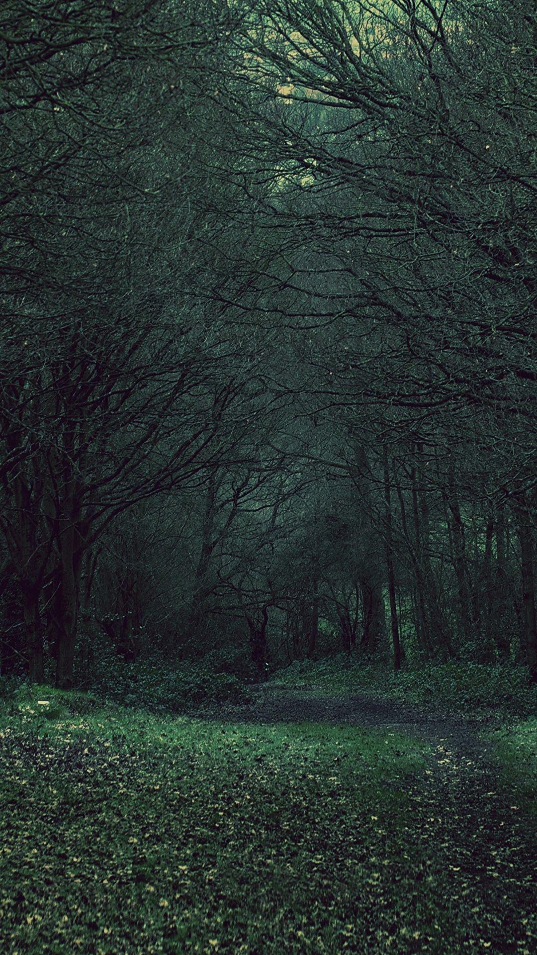 Dark Forest Road Wallpapers - Top Free Dark Forest Road Backgrounds ...