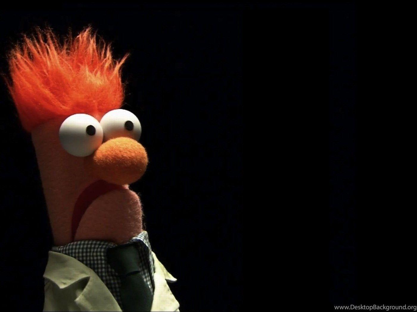 Animal Muppet Wallpapers - Top Free Animal Muppet Backgrounds ...