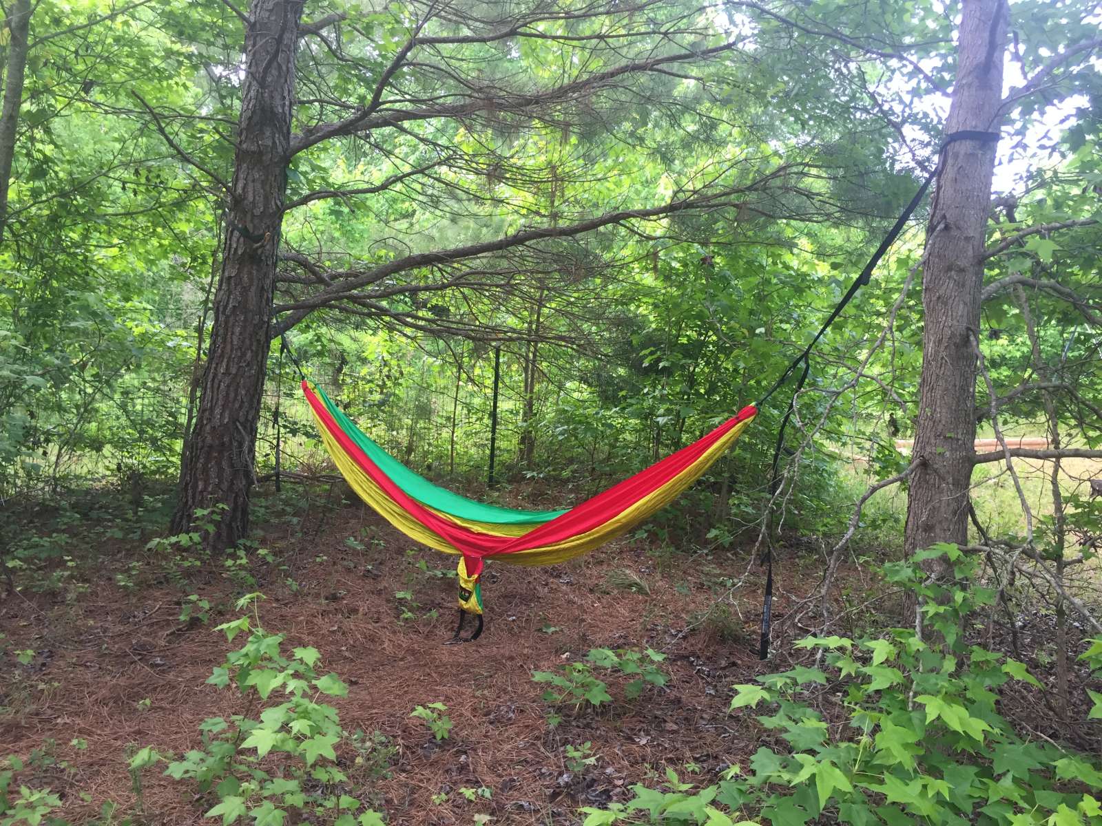 Hammock Camping Wallpapers - Top Free Hammock Camping Backgrounds ...