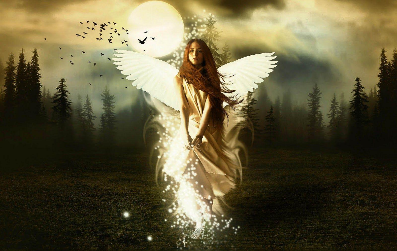 Angel Desktop HD Wallpapers - Top Free Angel Desktop HD Backgrounds ...