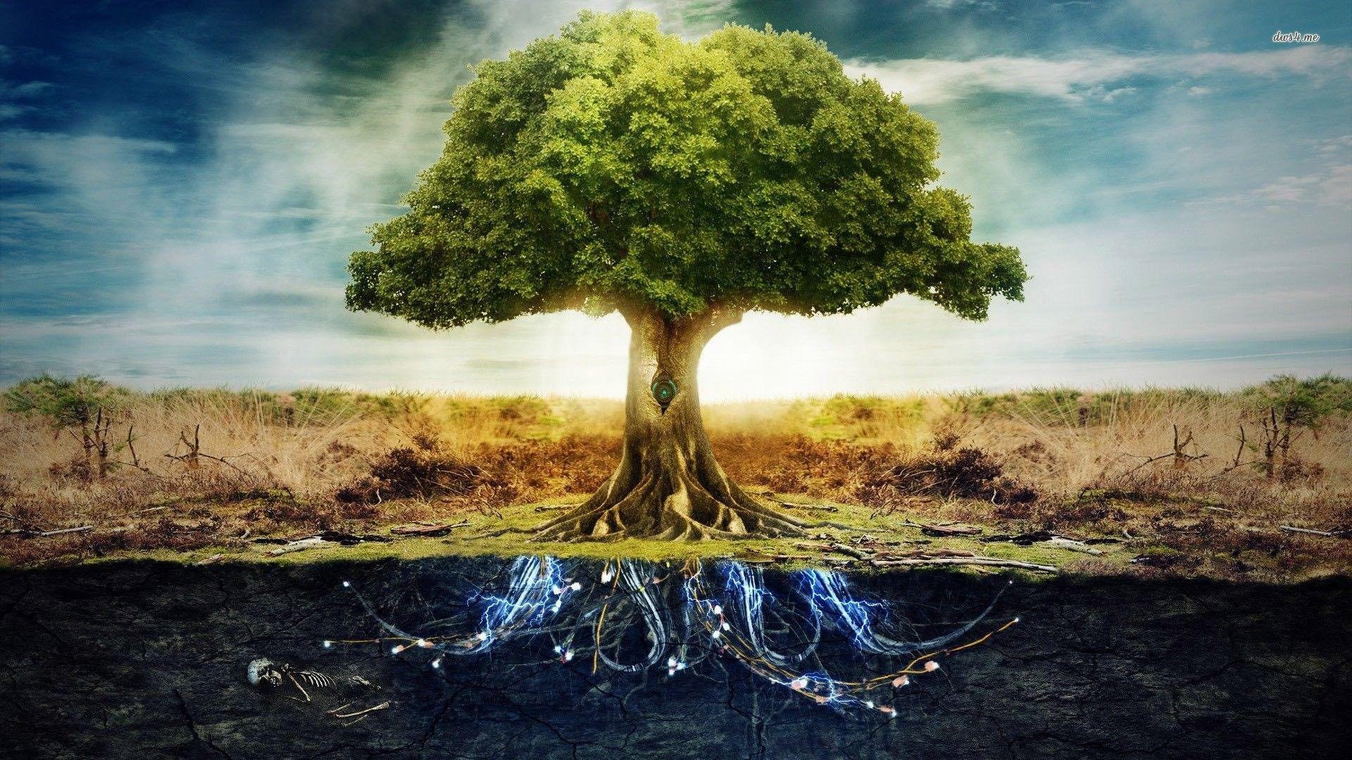 Yggdrasil Desktop Wallpapers - Top Free Yggdrasil Desktop Backgrounds ...