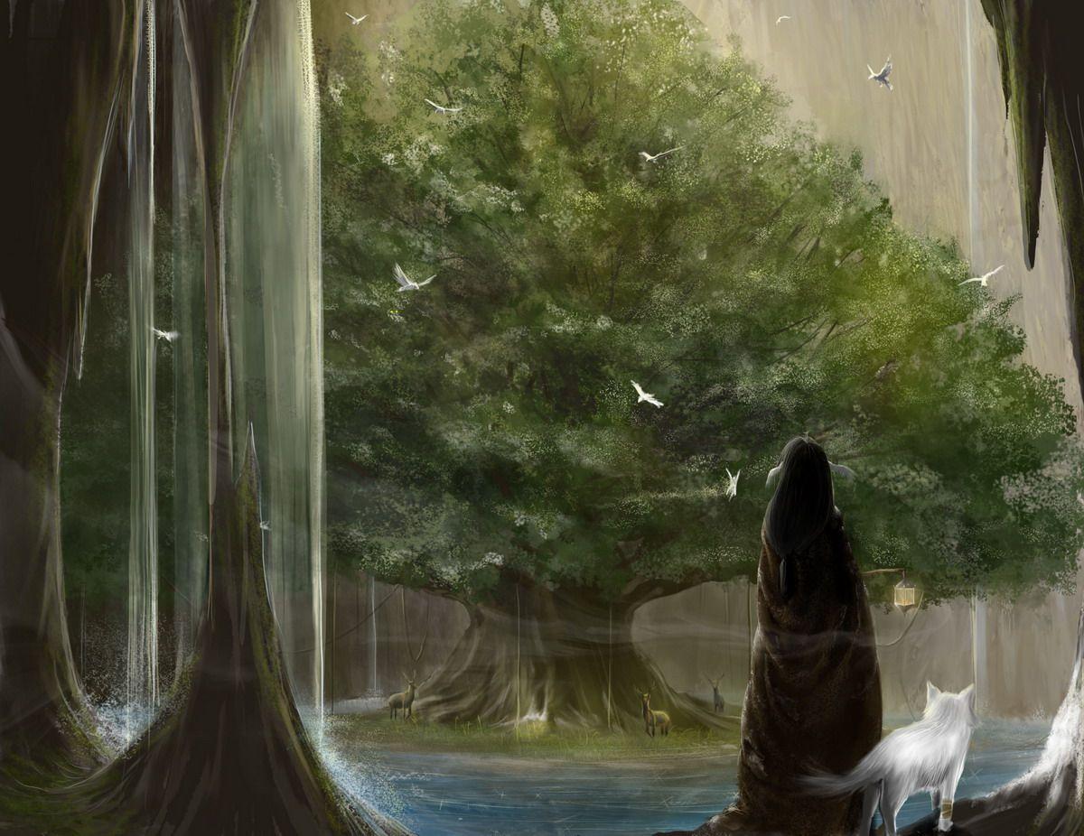 Yggdrasil Desktop Wallpapers - Top Free Yggdrasil Desktop Backgrounds ...