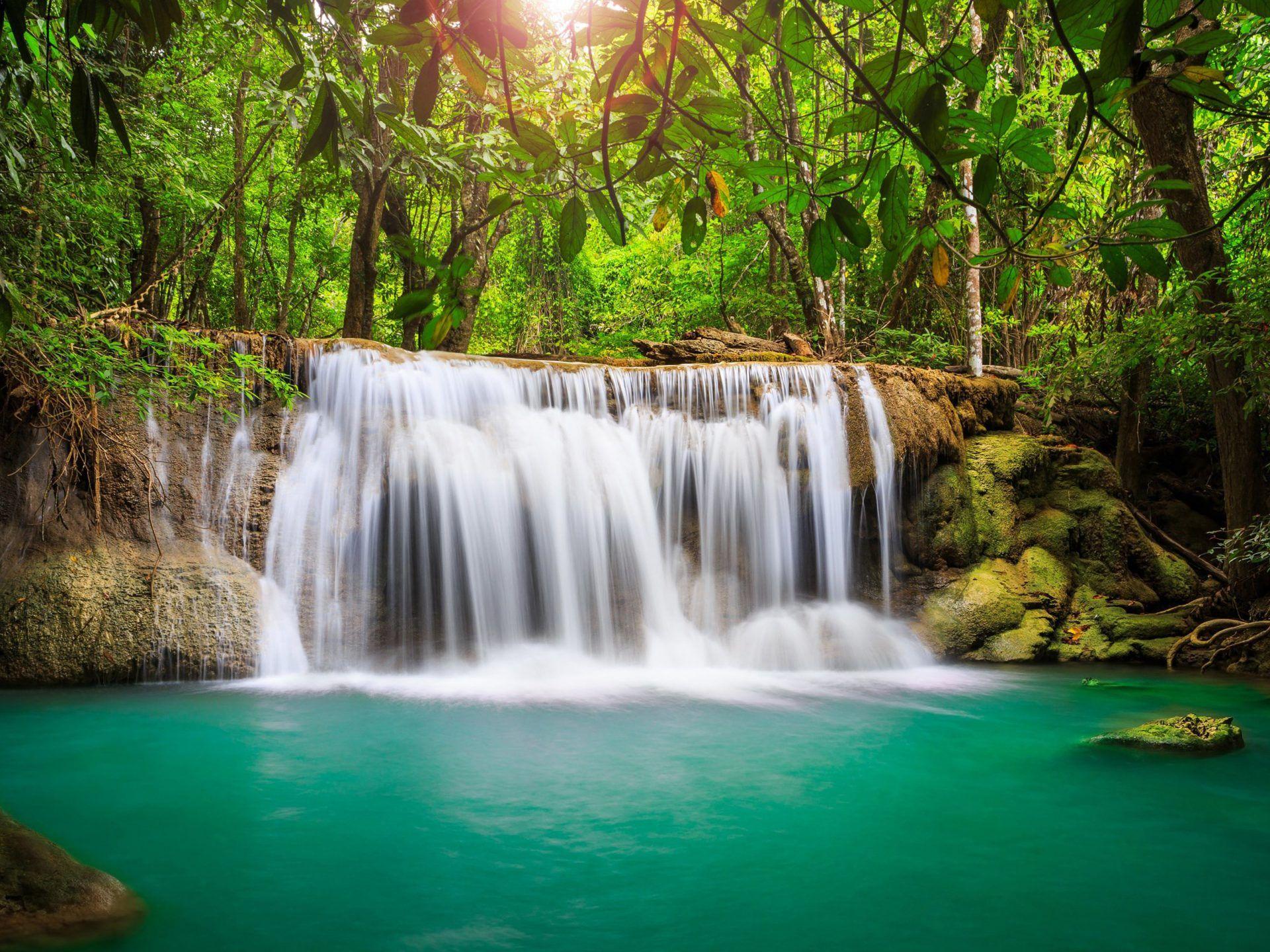 Tropical Rainforest Desktop Wallpapers - Top Free Tropical Rainforest ...