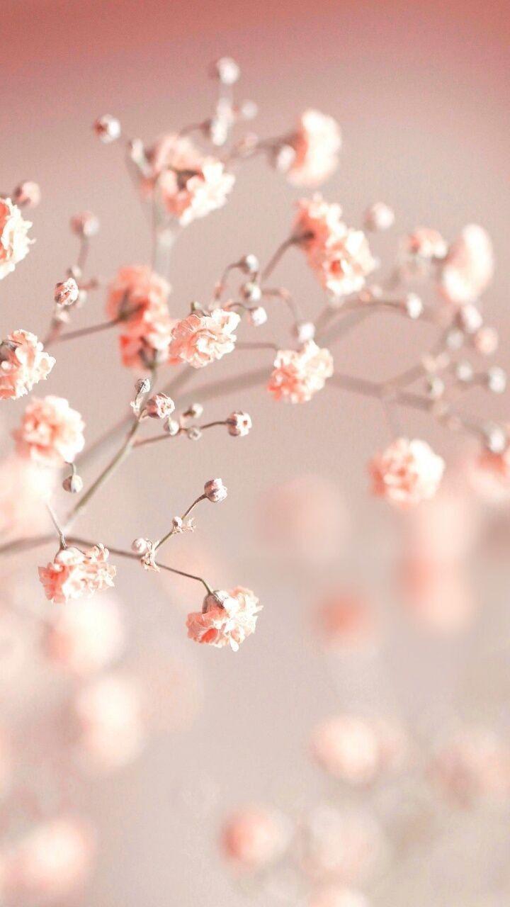 Pinterest Spring Wallpapers - Top Free Pinterest Spring Backgrounds ...