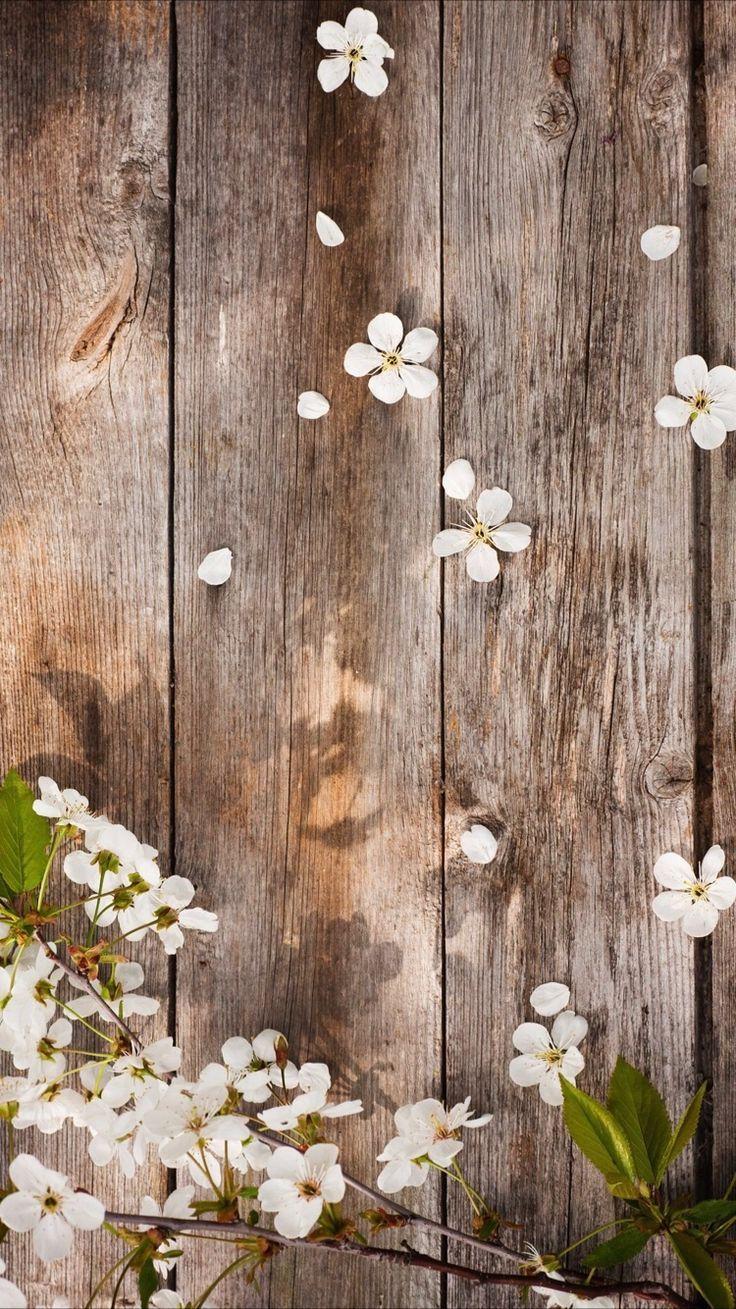 Pinterest Spring Wallpapers - Top Free Pinterest Spring Backgrounds ...