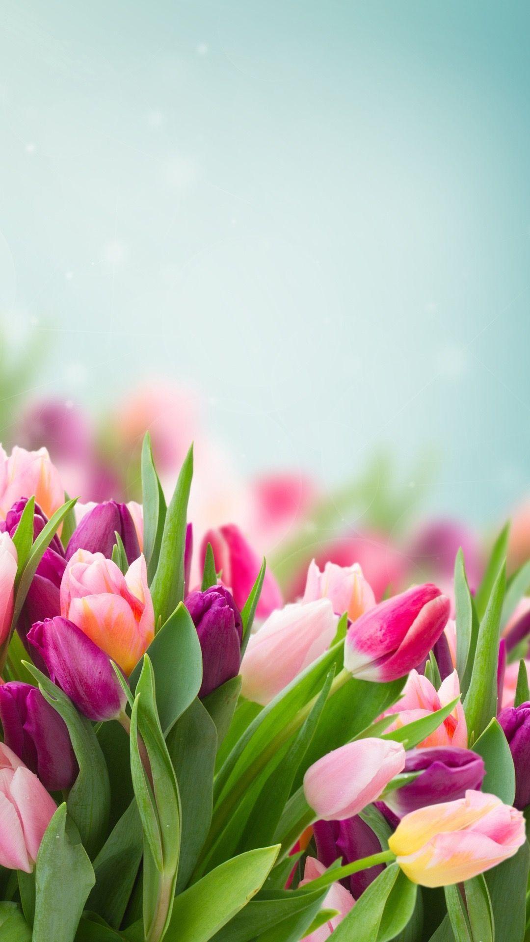 Pinterest Spring Wallpapers - Top Free Pinterest Spring Backgrounds ...