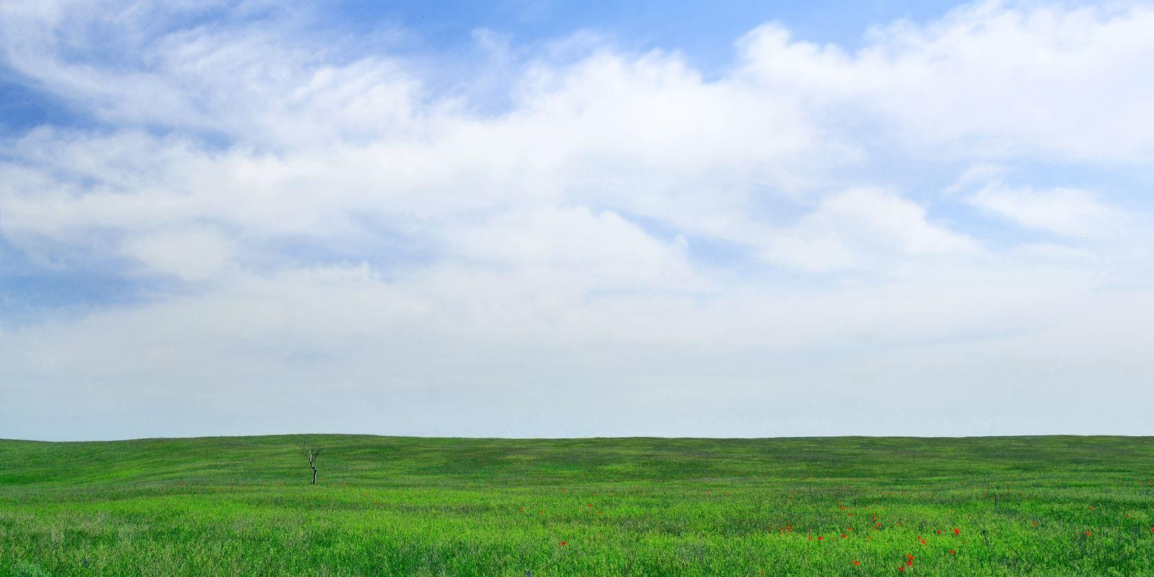 Field Computer Wallpapers - Top Free Field Computer Backgrounds ...