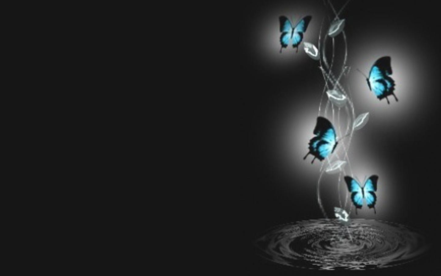 Amazing Butterfly Wallpapers - Top Free Amazing Butterfly Backgrounds ...