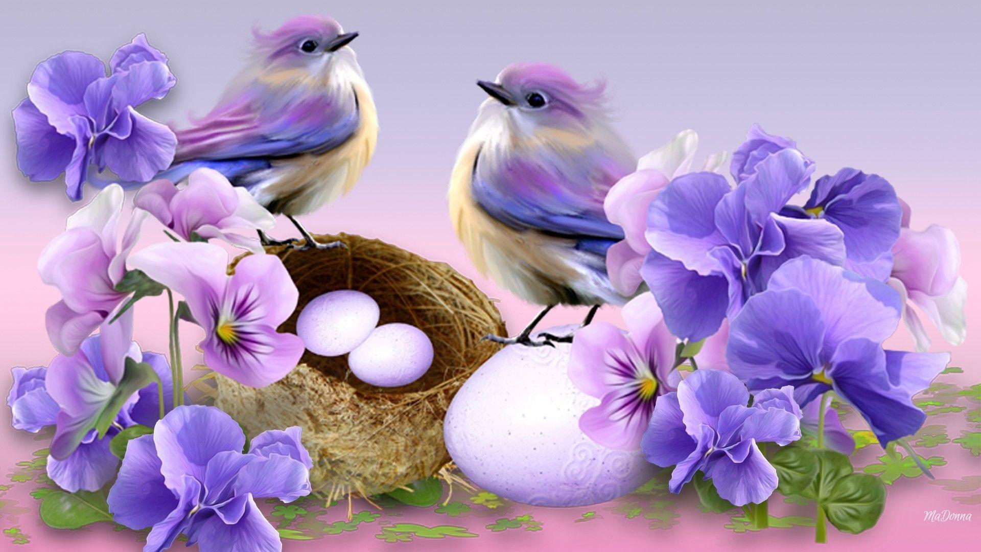 Spring Flowers and Birds Wallpapers - Top Free Spring Flowers and Birds ...