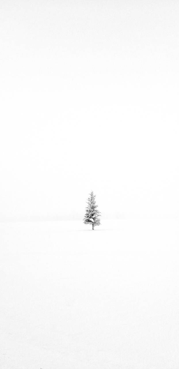 Simple Winter Desktop Wallpapers - Top Free Simple Winter Desktop ...