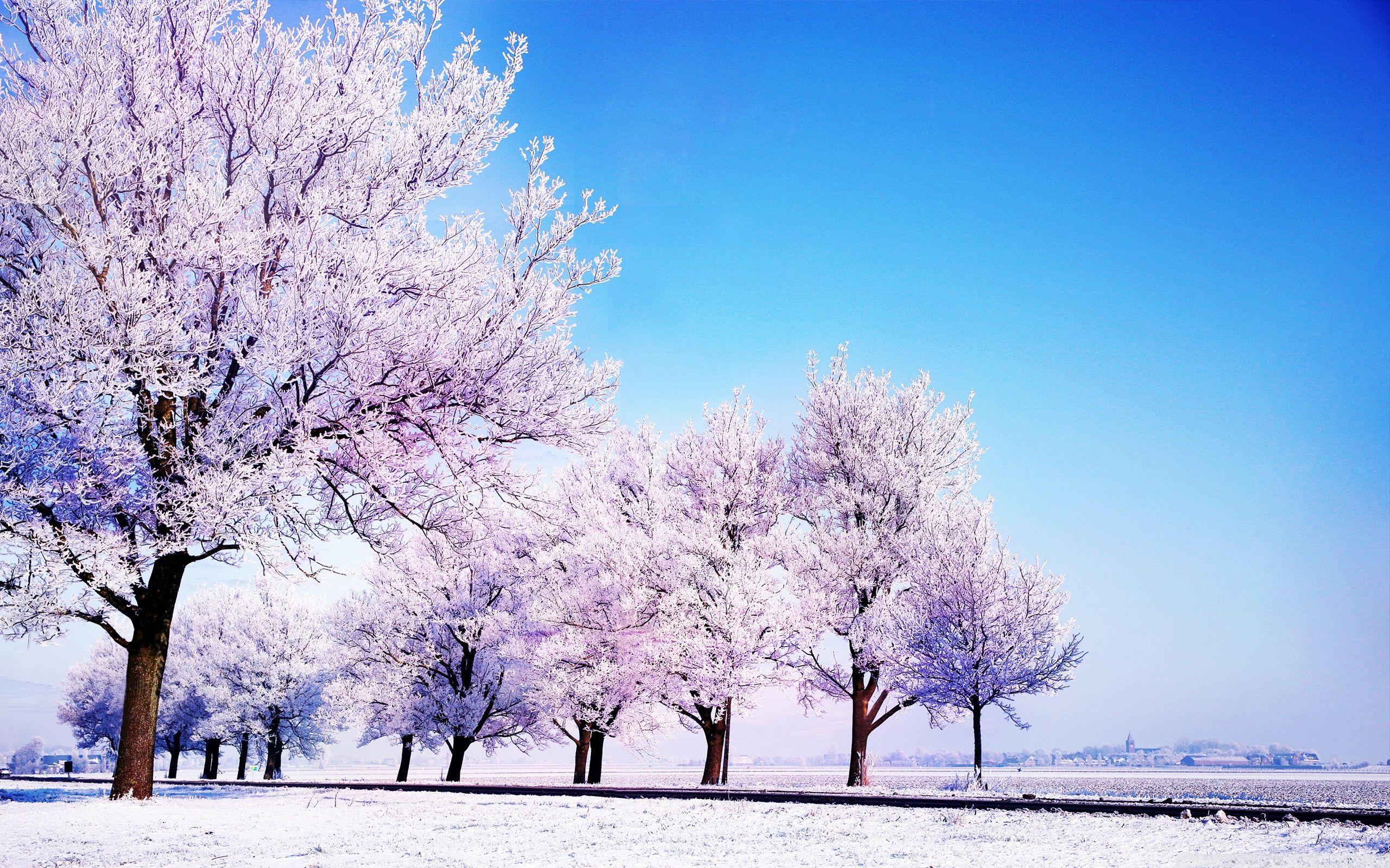 Simple Winter Desktop Wallpapers - Top Free Simple Winter Desktop ...