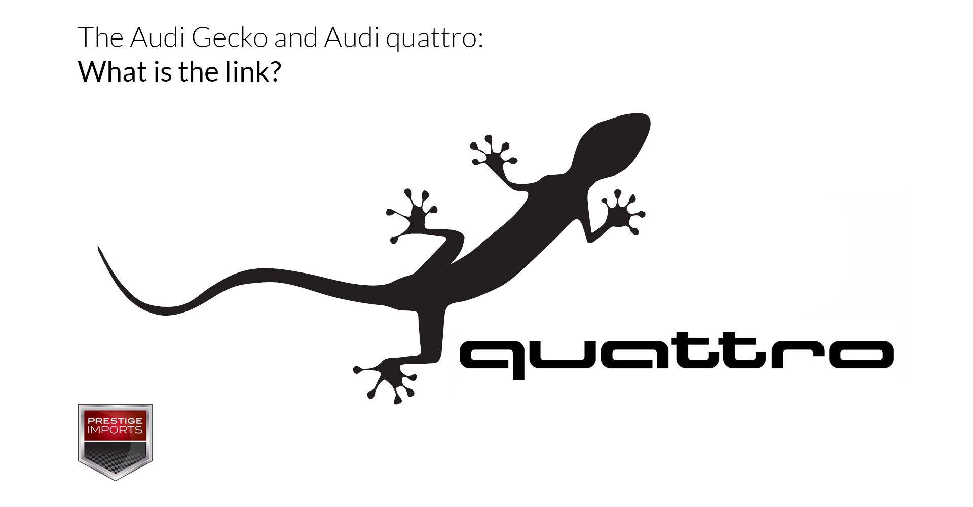 Audi Quattro Logo Wallpapers - Top Free Audi Quattro Logo Backgrounds ...