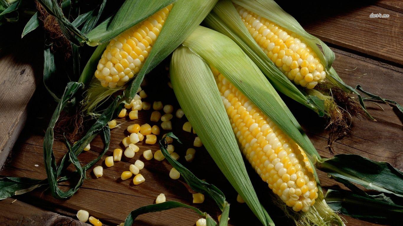 Corn Desktop Wallpapers - Top Free Corn Desktop Backgrounds ...